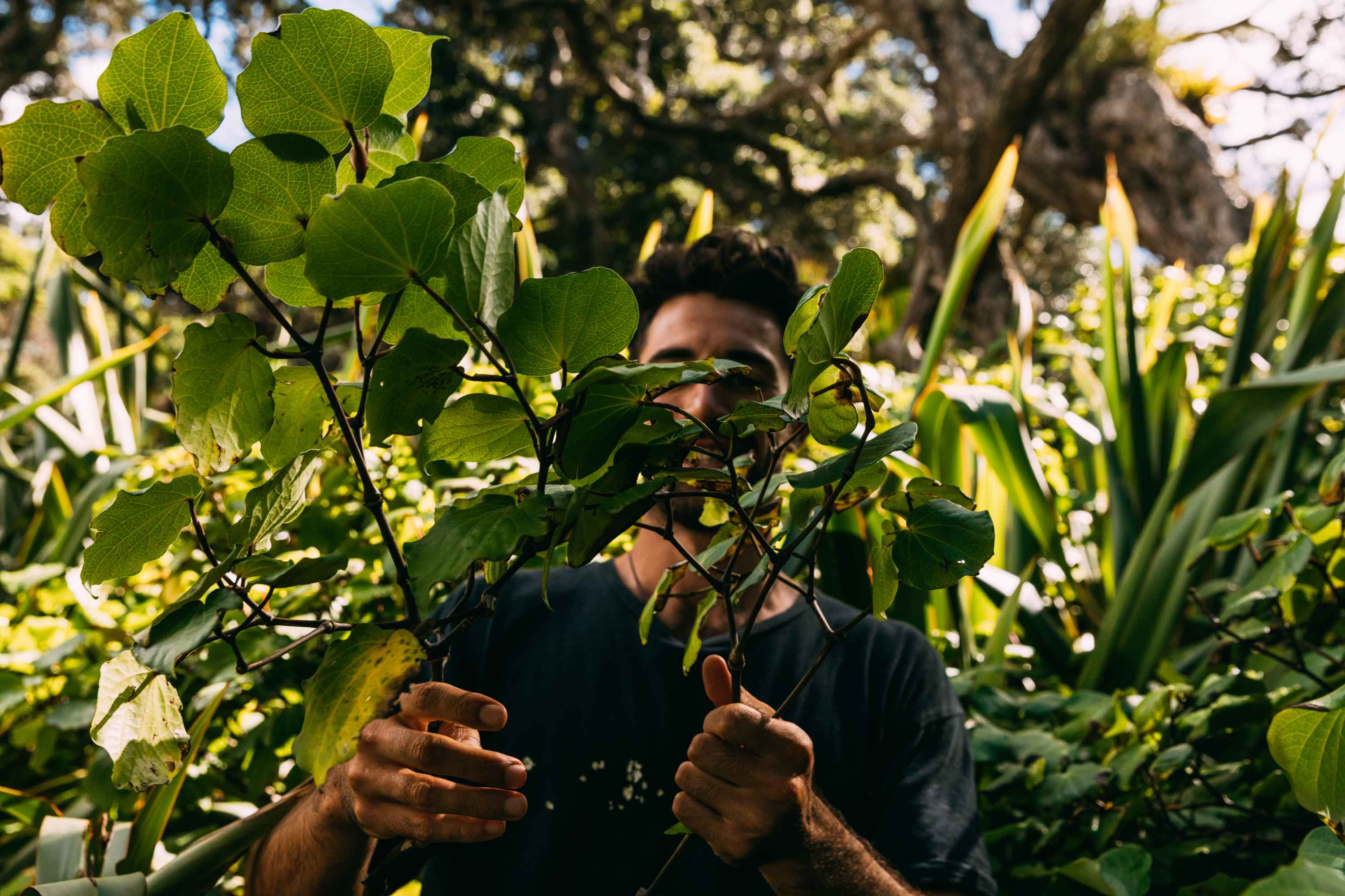 For Good: In Conversation with Tama Toki of Aotea | IN BED USA