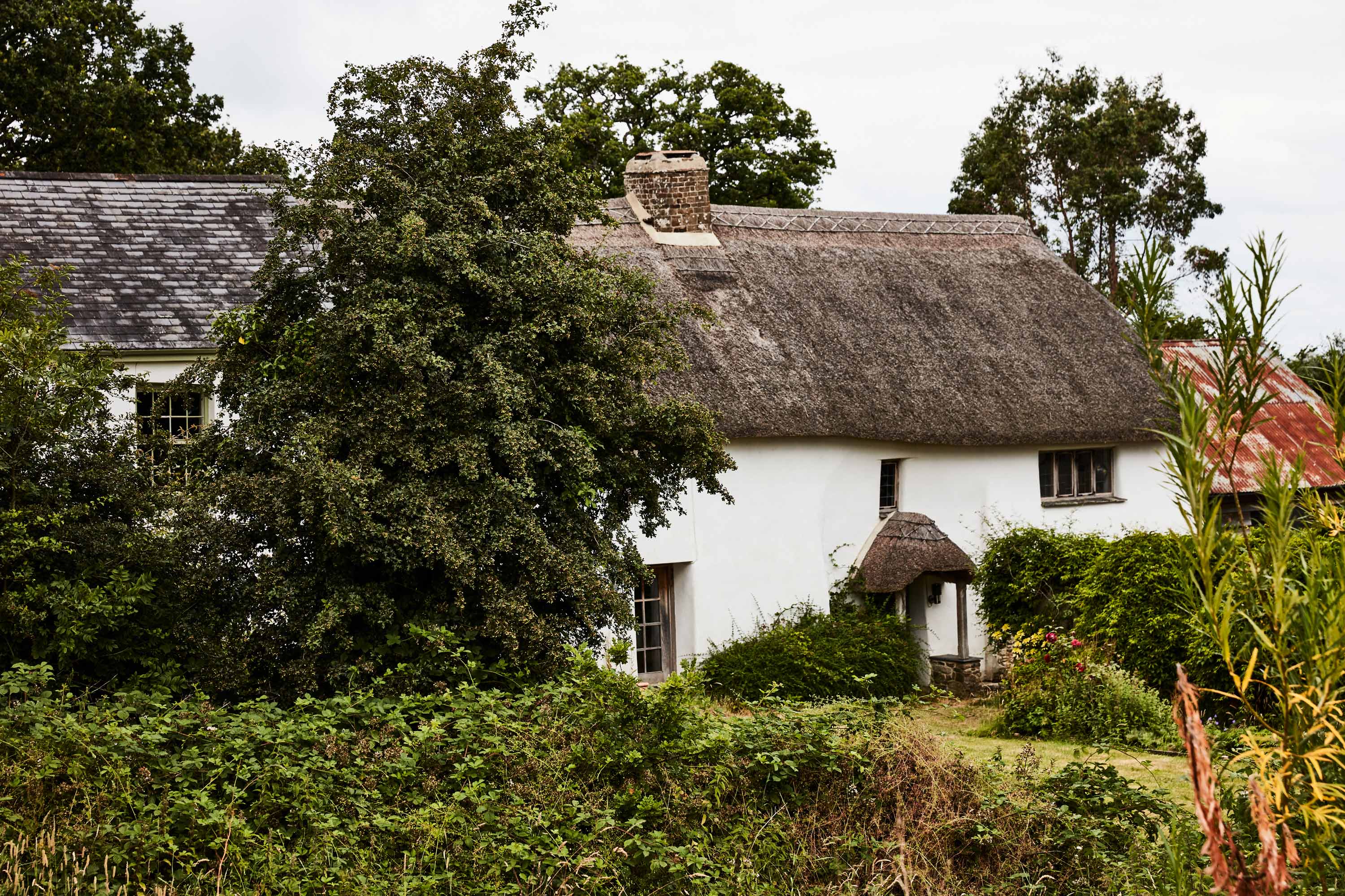 Cath & Jeremy Brown, Devon, UK | IN BED USA
